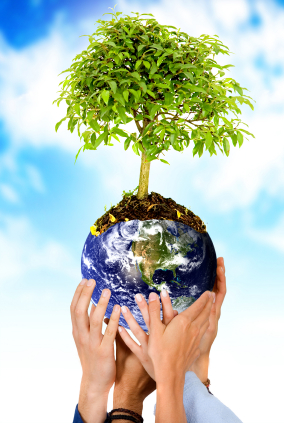 Ökologische Richtlinien beachten | Kompetenzzentrum-IEMB.de